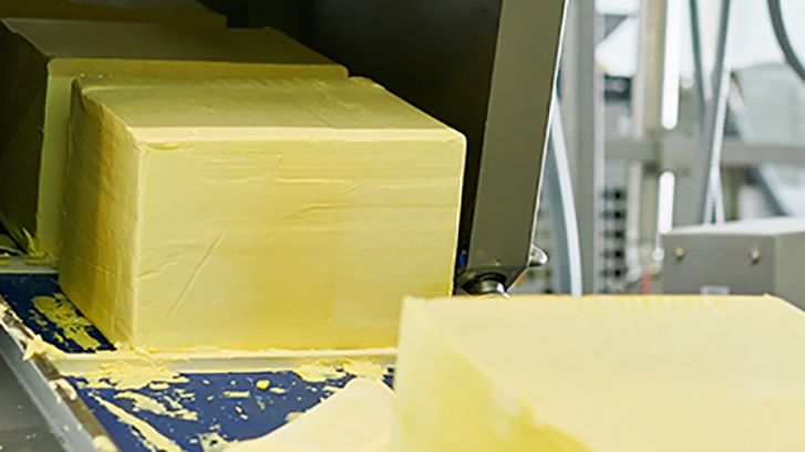 Dairy industry | F&B | WMFTS