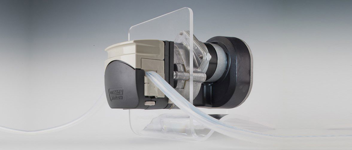 300 series panel mount pumps | Products | Watson-Marlow | WMFTS